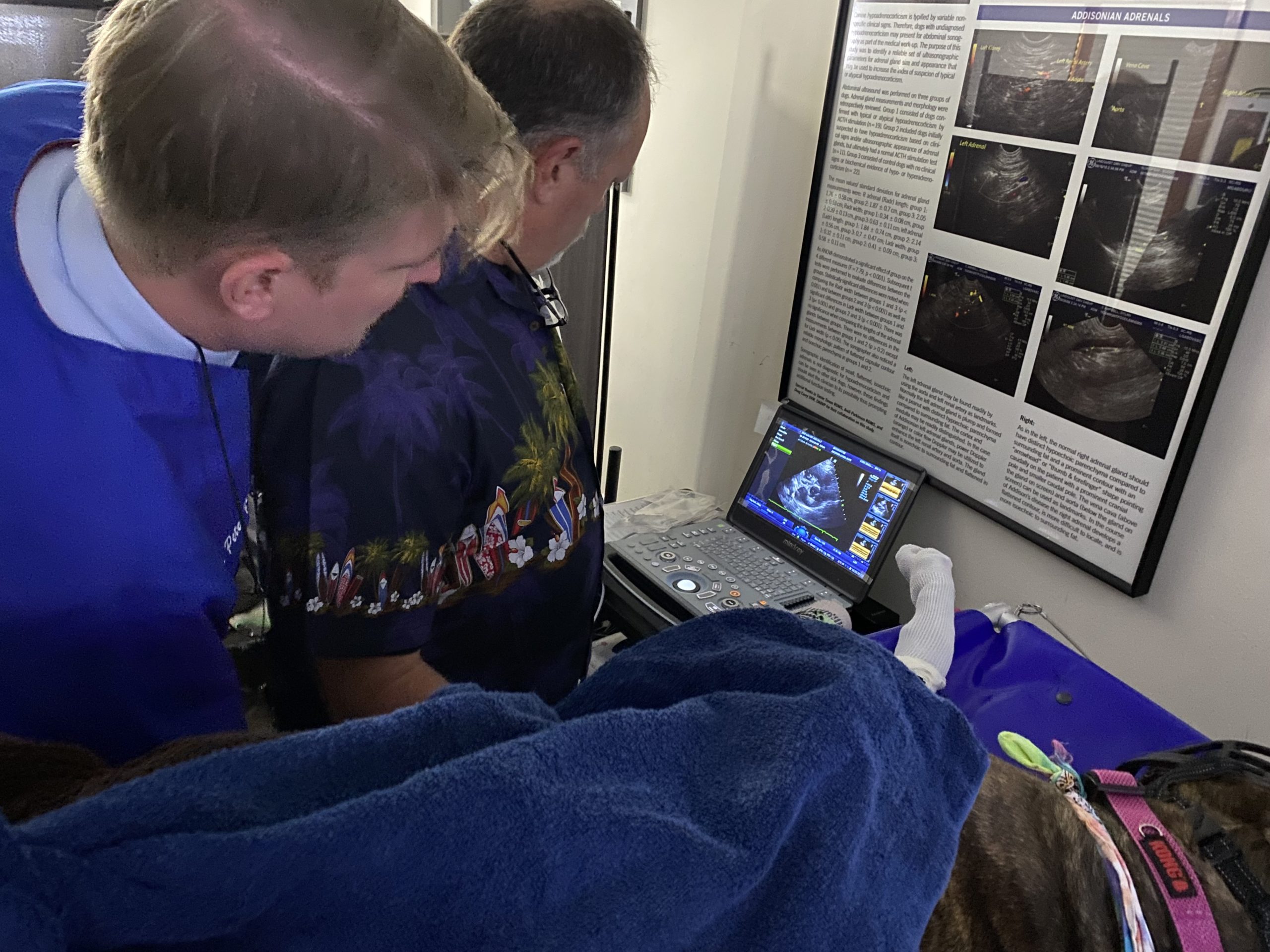 Education & Training - SonoPath