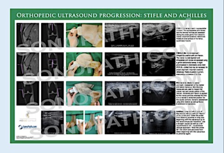 Orthopedic Ultrasound? Absolutely. - SonoPath