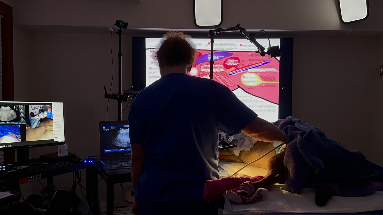 SDEP® Training Courses - SonoPath