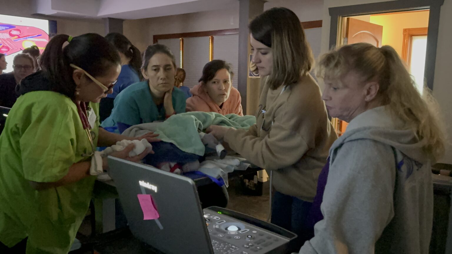 SDEP® Training Courses - SonoPath