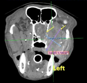 SonoPath Imaging Center - SonoPath