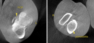 SonoPath Imaging Center - SonoPath