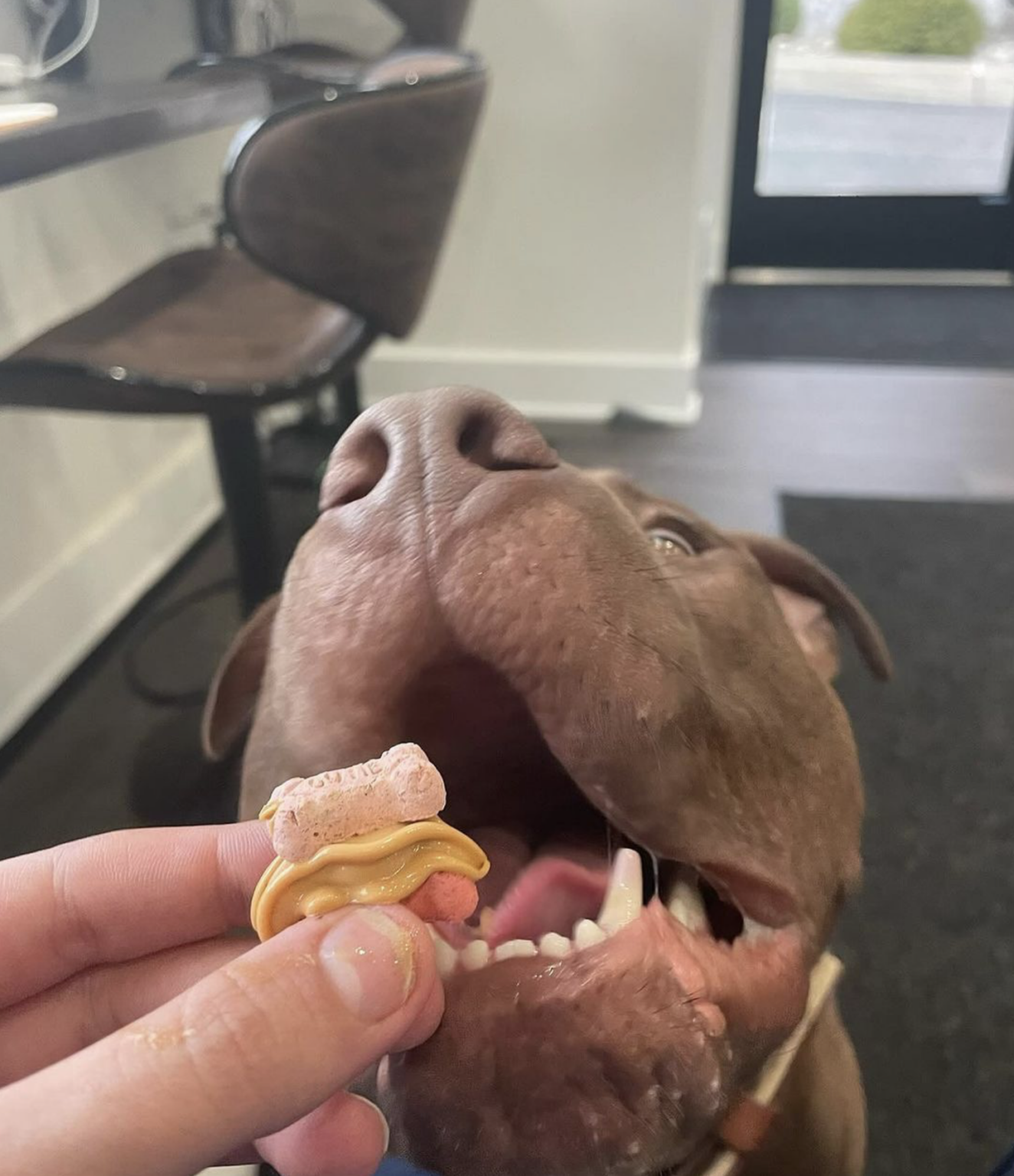 Meet the Team - SonoPath