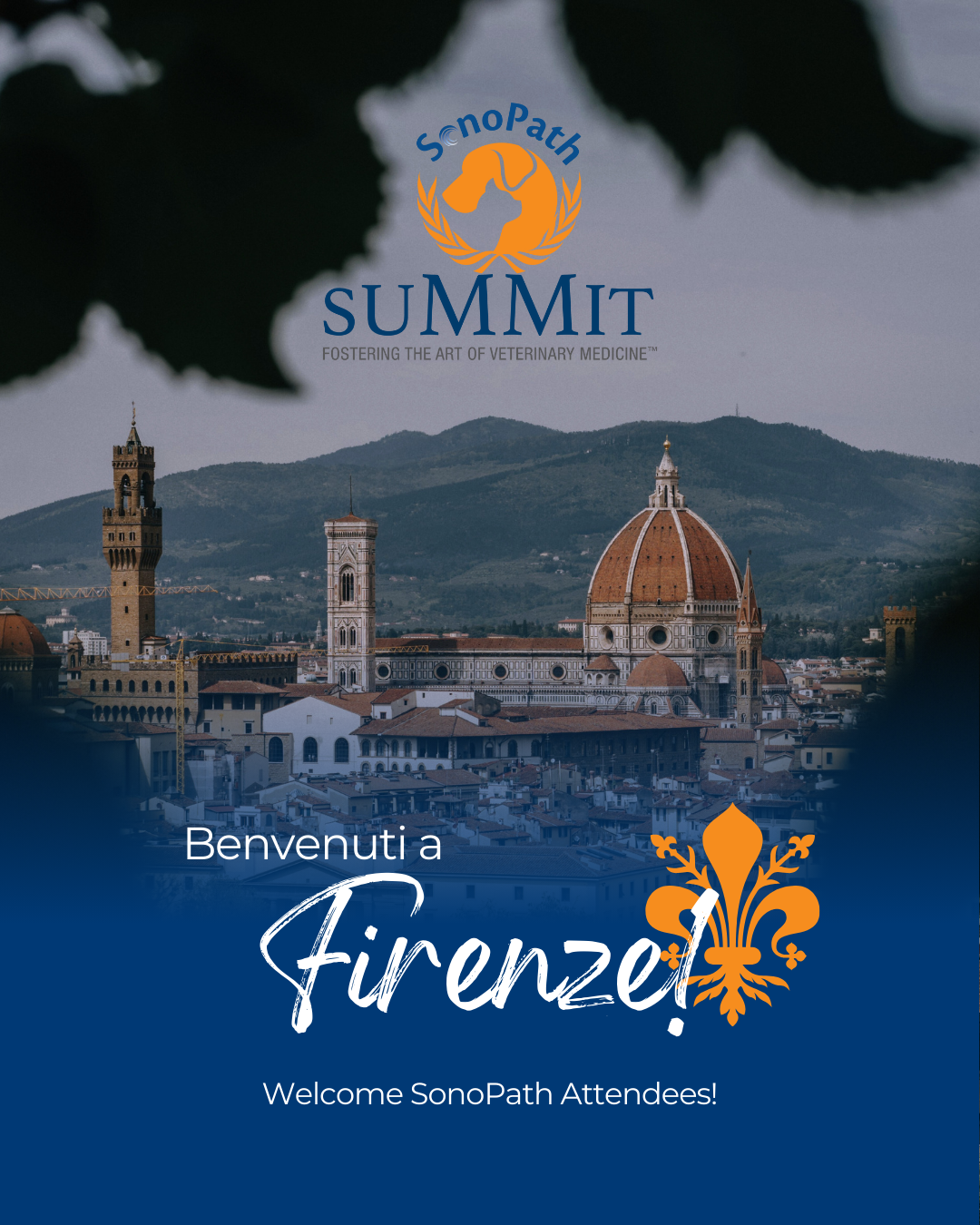 Online Welcome Summit 2024 - SonoPath