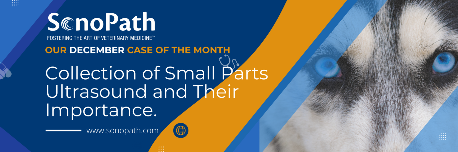 Collection of Small Parts Ultrasound Images and Their Significance. Our ...