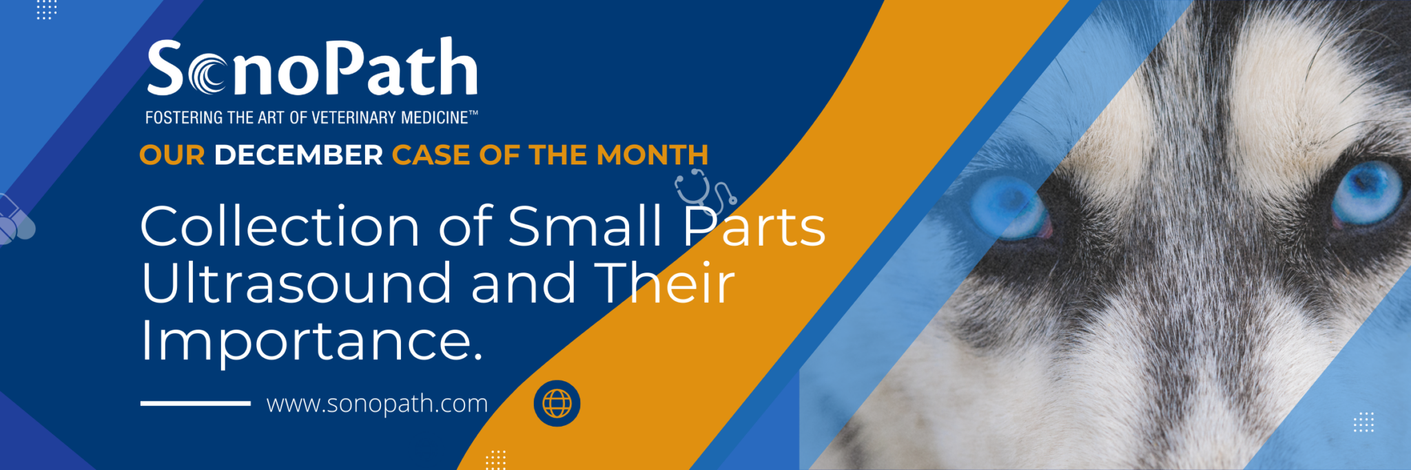 Collection of Small Parts Ultrasound Images and Their Significance. Our Case of the Month ...