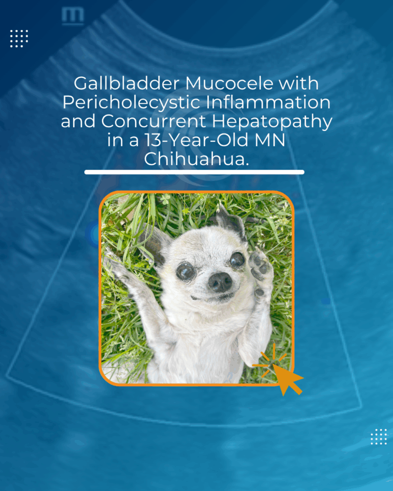 SonoPath | Fostering The Art of Veterinary Medicine™